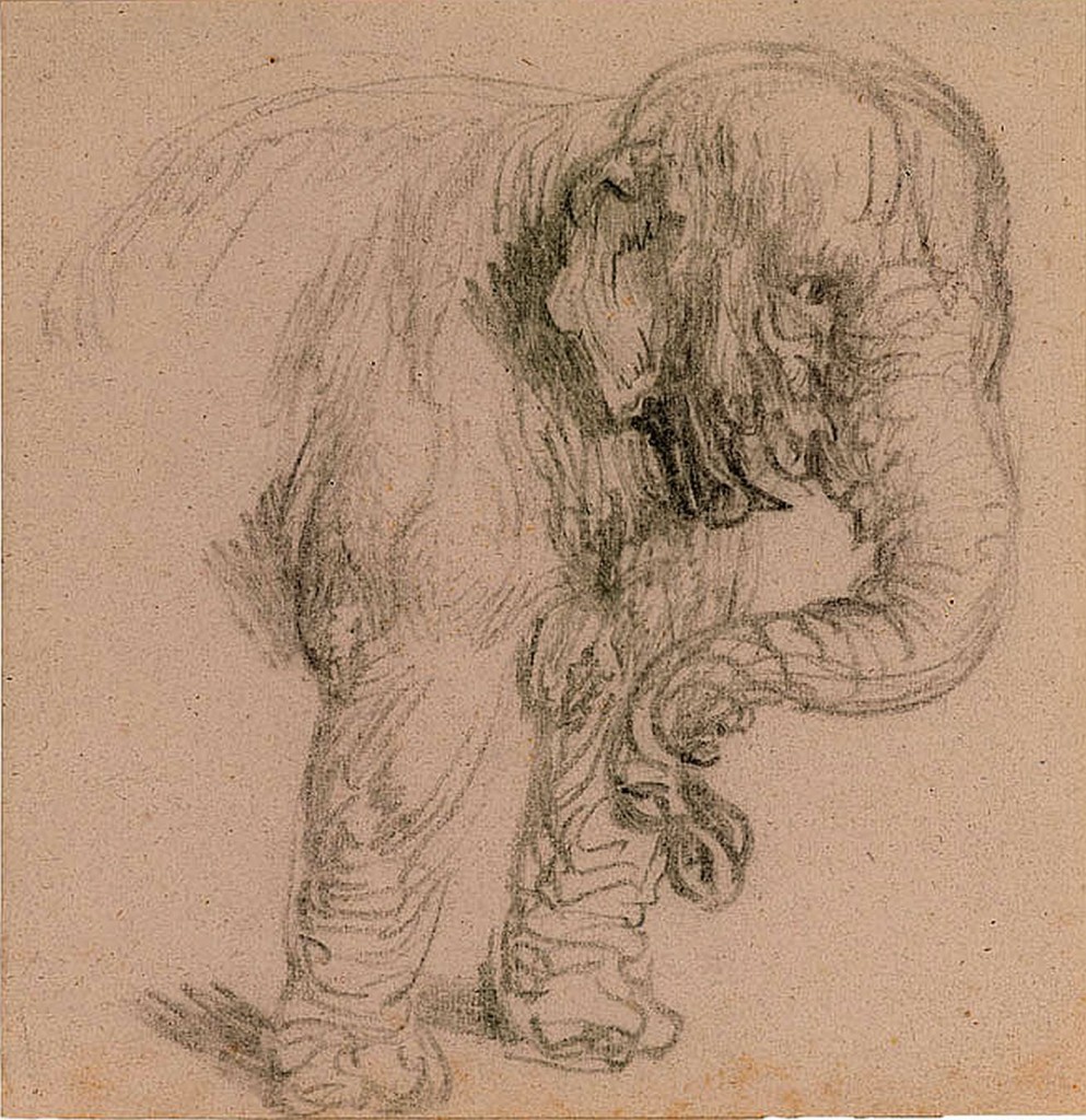 Rembrandt van Rijn (1637 en 1638) | Elephant Hansken